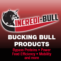 Oxygen Bull Supplements | Rapid Gain, Increased Energy, Bone Health