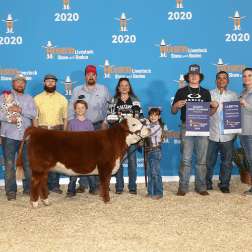 Femininity | Exceptional Bloom, Defined Neckline | Natural | Drug-Free