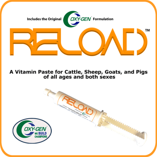 Reload Livestock Supplement | Calming, Fresh Look, Muscle Definition