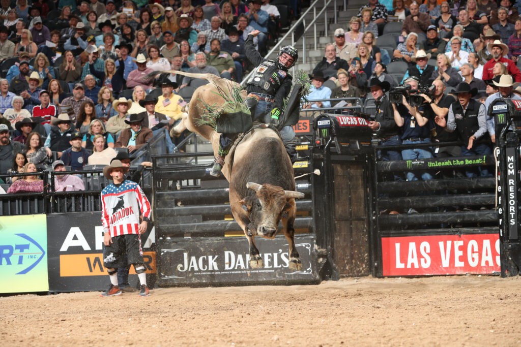 Pure Bull L2 | Lean Muscle, Joint Health, Bone Development