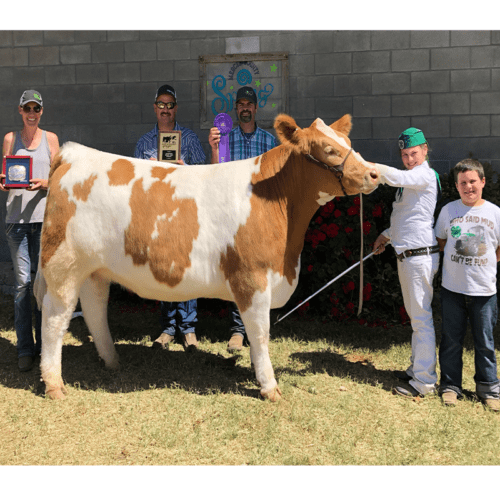 Femininity | Exceptional Bloom, Defined Neckline | Natural | Drug-Free