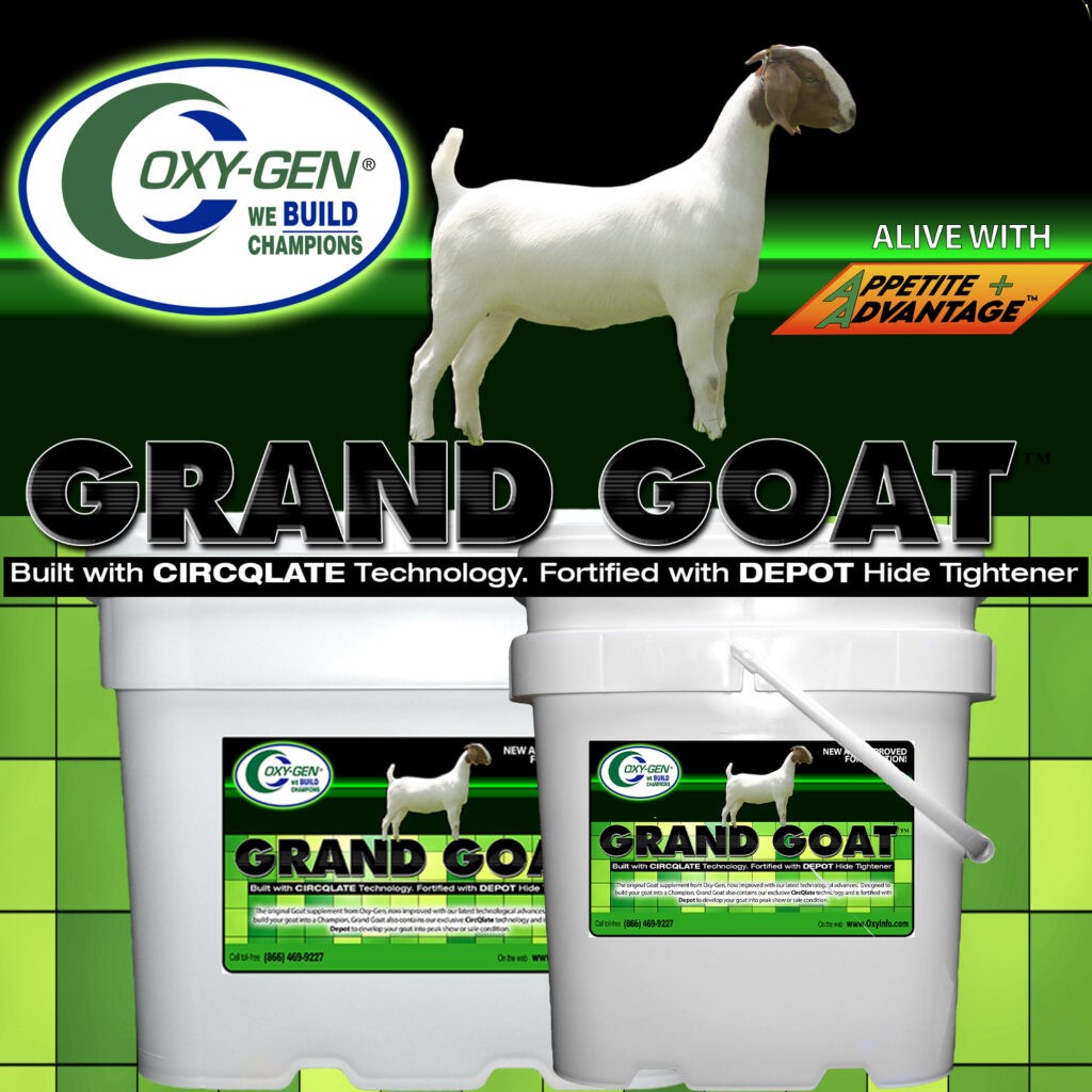 Grand Goat Supplement | Superior Muscling, Weight Gain, Condition