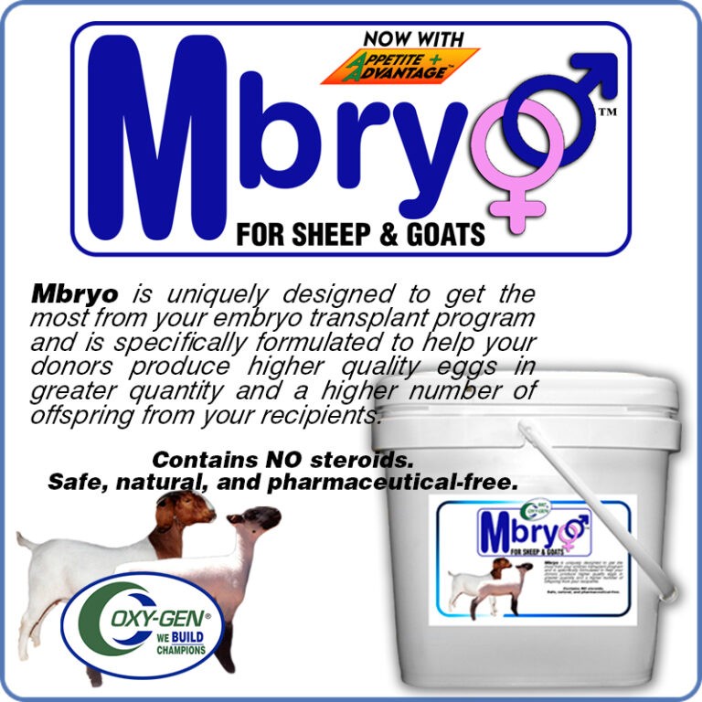 MbryO Lamb and Goat Supplement | Breeding | Quality Eggs | Transplant
