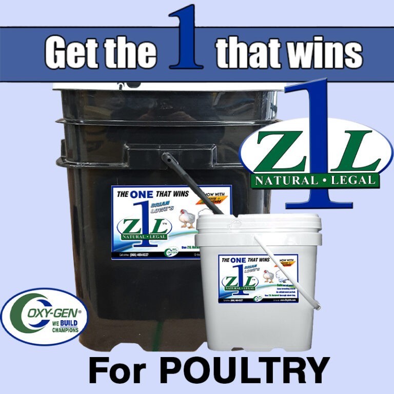 Z1L Poultry Supplement | Immunity | Isolate Pathogens | Antioxidant
