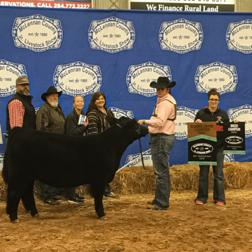 Gut-Pro Livestock Supplement | Digestive Aid, Probiotics, Appetite Health